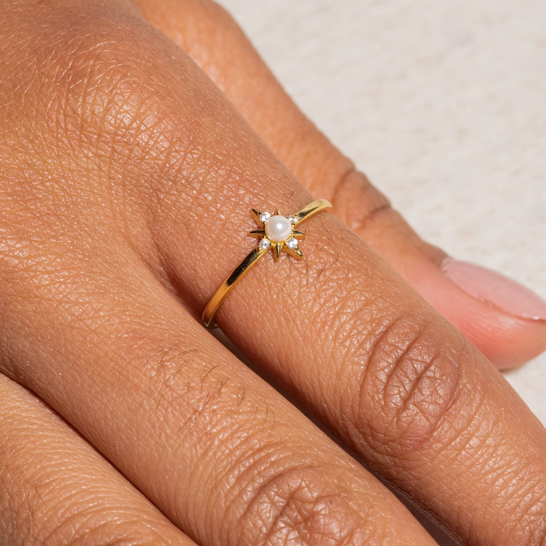 Shashi – local eclectic